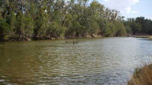 Things to do in Goondiwindi - Goondiwindi Top Tourist Park
